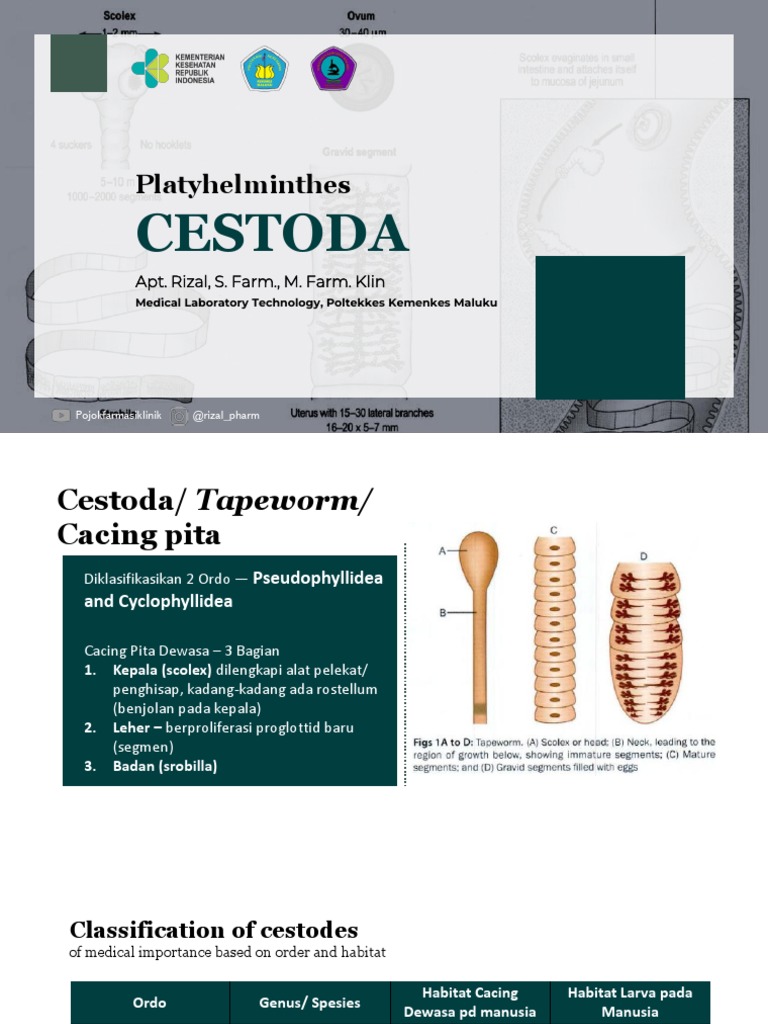 Cestoda | PDF | Epidemiology | Clinical Medicine