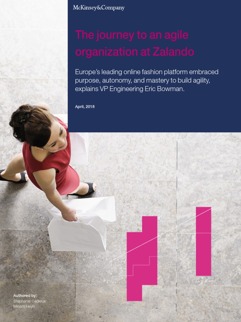 7.the-Journey To An Agile organization-McKinsey | PDF | Leadership | Autonomy