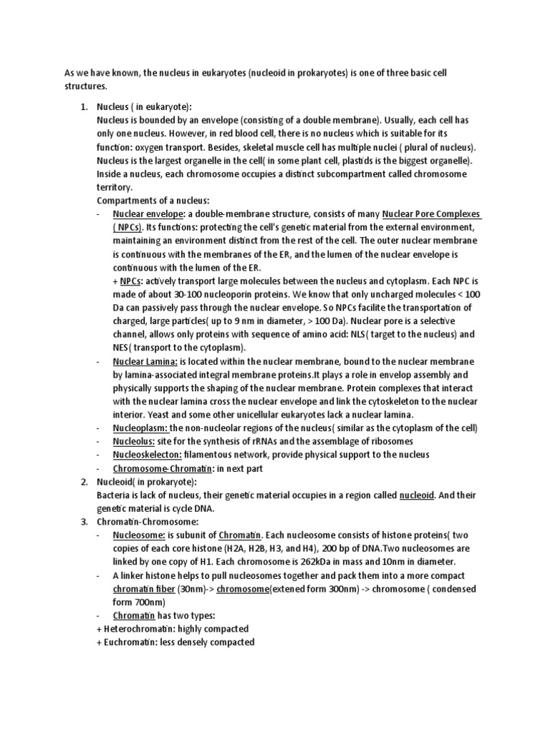 Nucleus Pdf Cell Nucleus Cell Biology