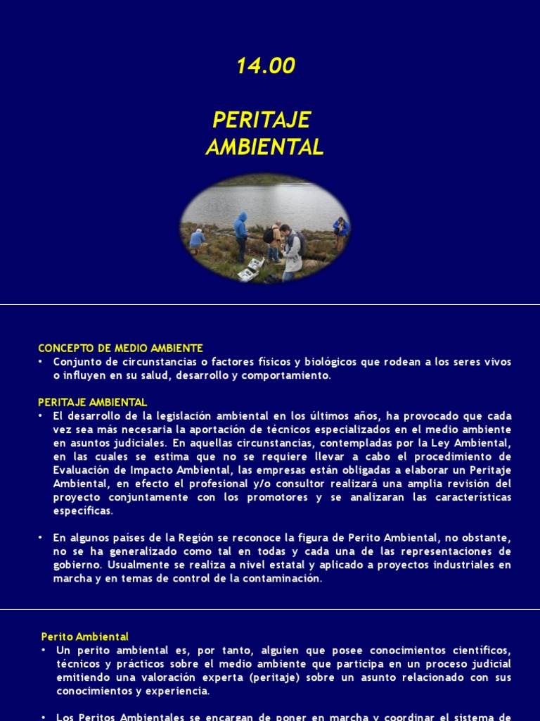 Peritaje Ambiental y Contaminación Global | PDF | Contaminación | Residuos