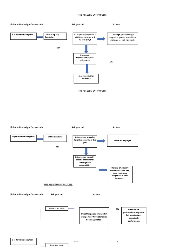 THE ASSESSMENT PROCESS Supervisory | PDF | Business | Behavioural Sciences