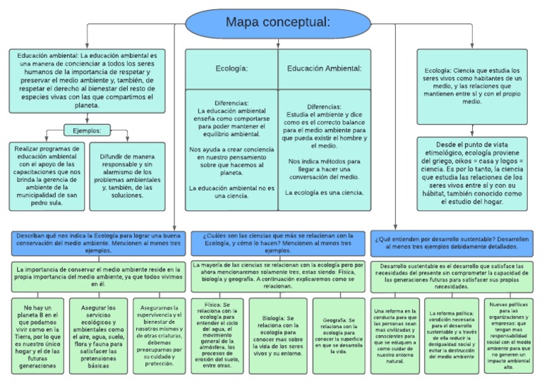 Mapa Conceptual | PDF | Ecología | Entorno natural