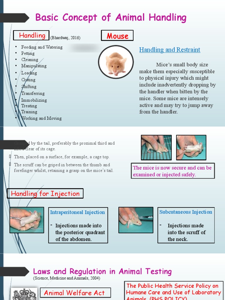 Animal Handling Part | PDF | Medicine | Animal Rights