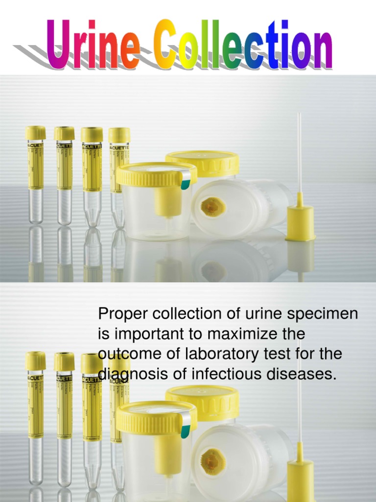 Funda-urine-collection | PDF | Urine | Catheter