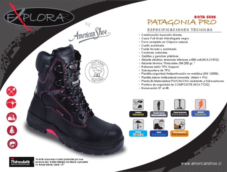 Bota A. Shoe Patagonia Pro 5598 | PDF | Química Física | Fenómenos de ...