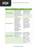 Matriz de Salud Mental AA1 - EV01 | PDF | Ansiedad | Trastorno de ansiedad
