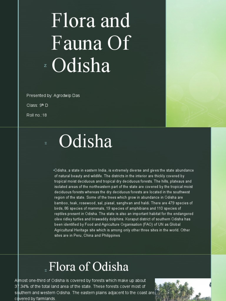 Flora and Fauna of Odisha: Presented By: Agrodwip Das Class: 9 D Roll No.:18 | Download Free PDF ...
