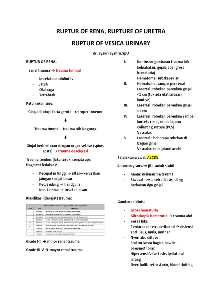Ruptur of Rena, Rupture of Uretra, Ruptur Vesica Urinaria | PDF