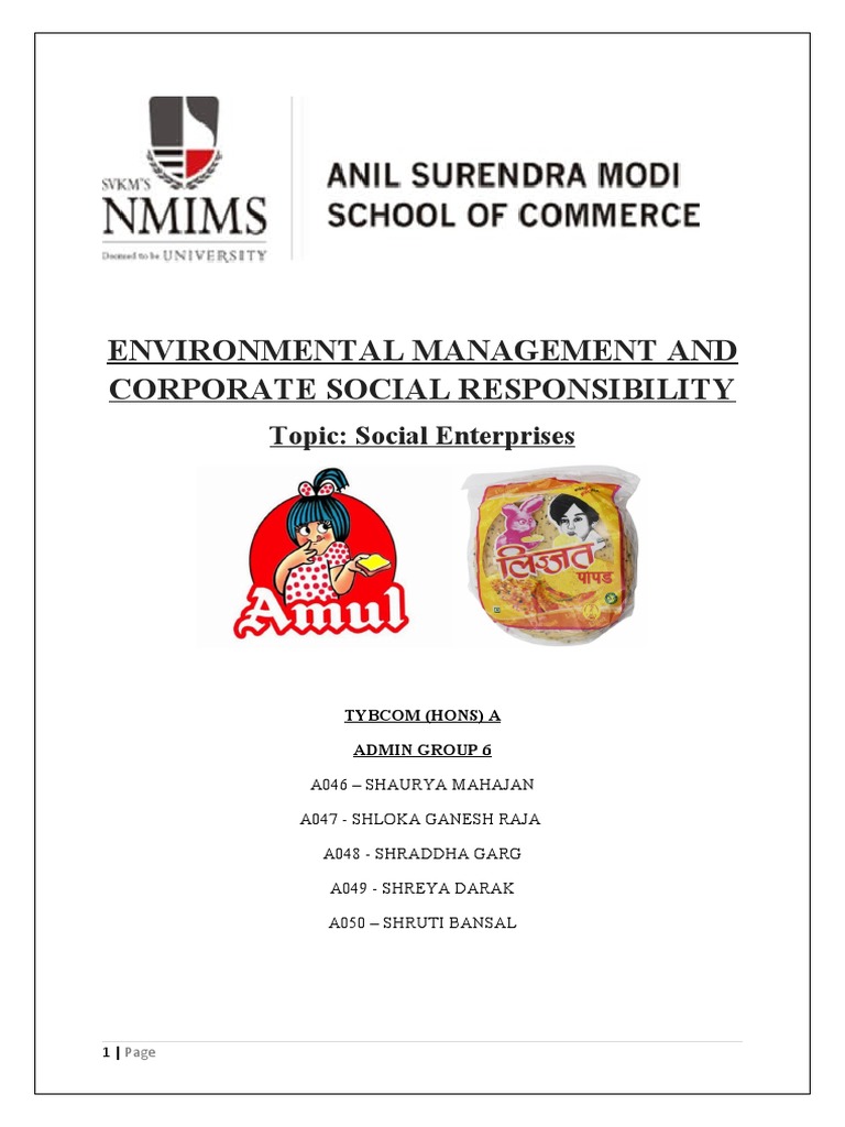 Evm Project 10 | PDF | Entrepreneurship | Corporate Social Responsibility
