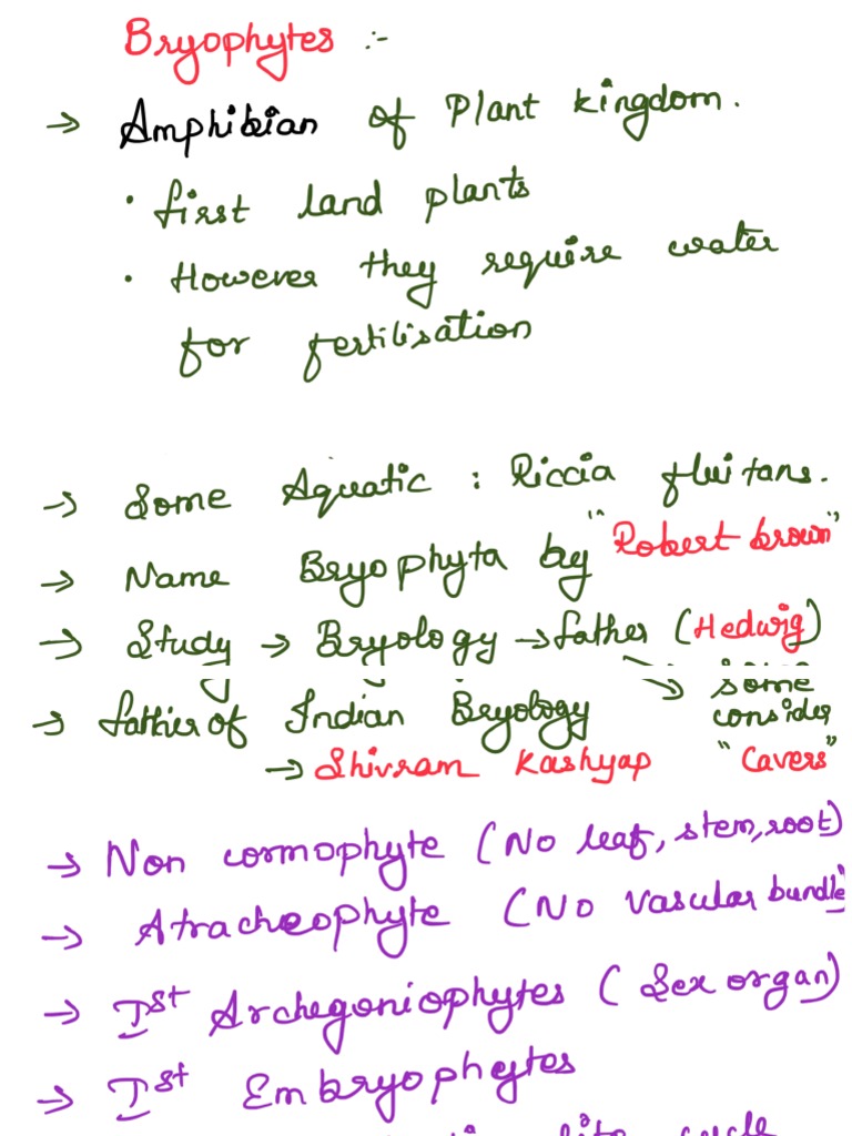Bryophytes | PDF Bryophytes | PDF
