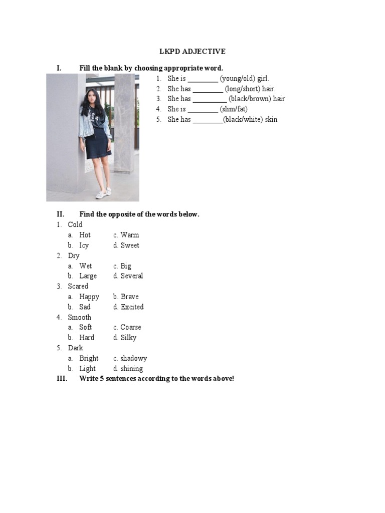 Adjective Practice Worksheet | PDF