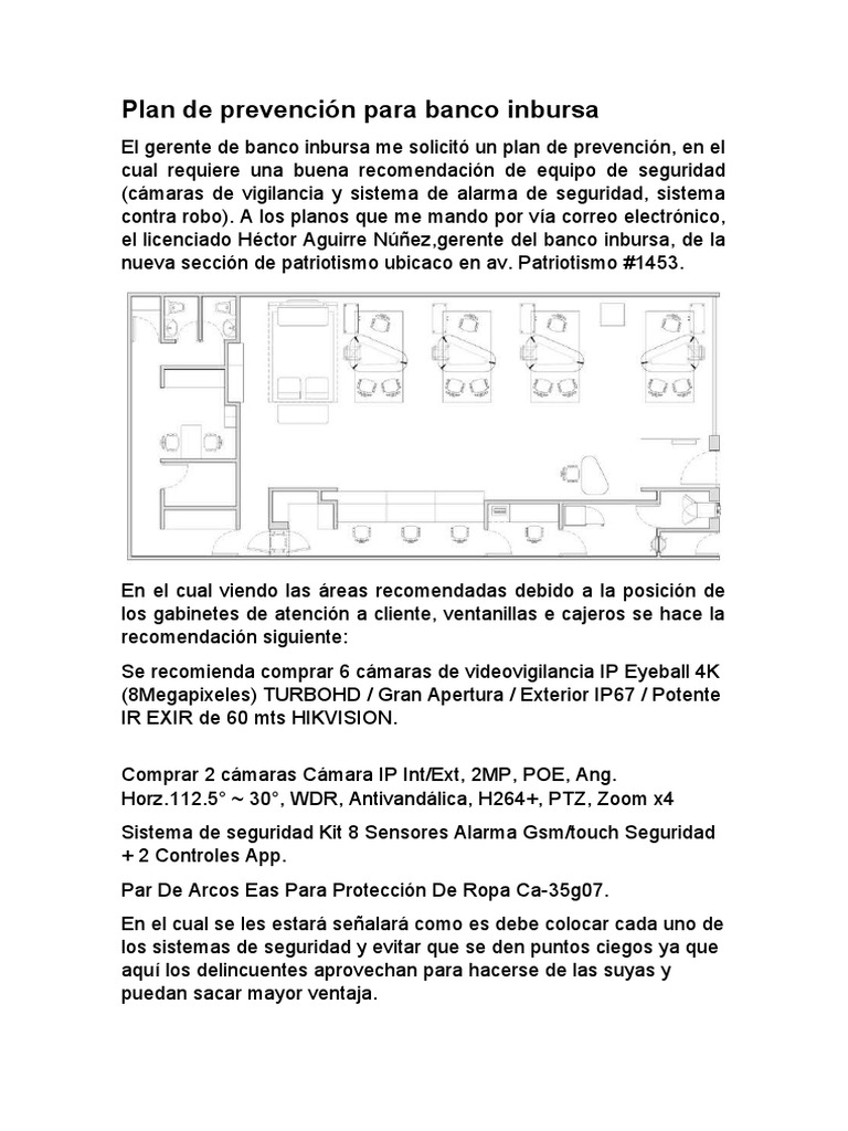 plan-preventivo-pdf-polic-a-vandalismo