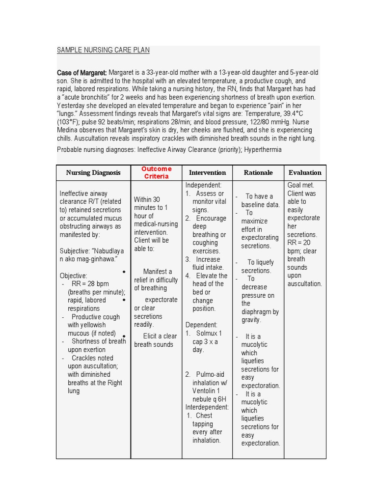 Sample Nursing Care Plan F | PDF | Breathing | Respiratory System