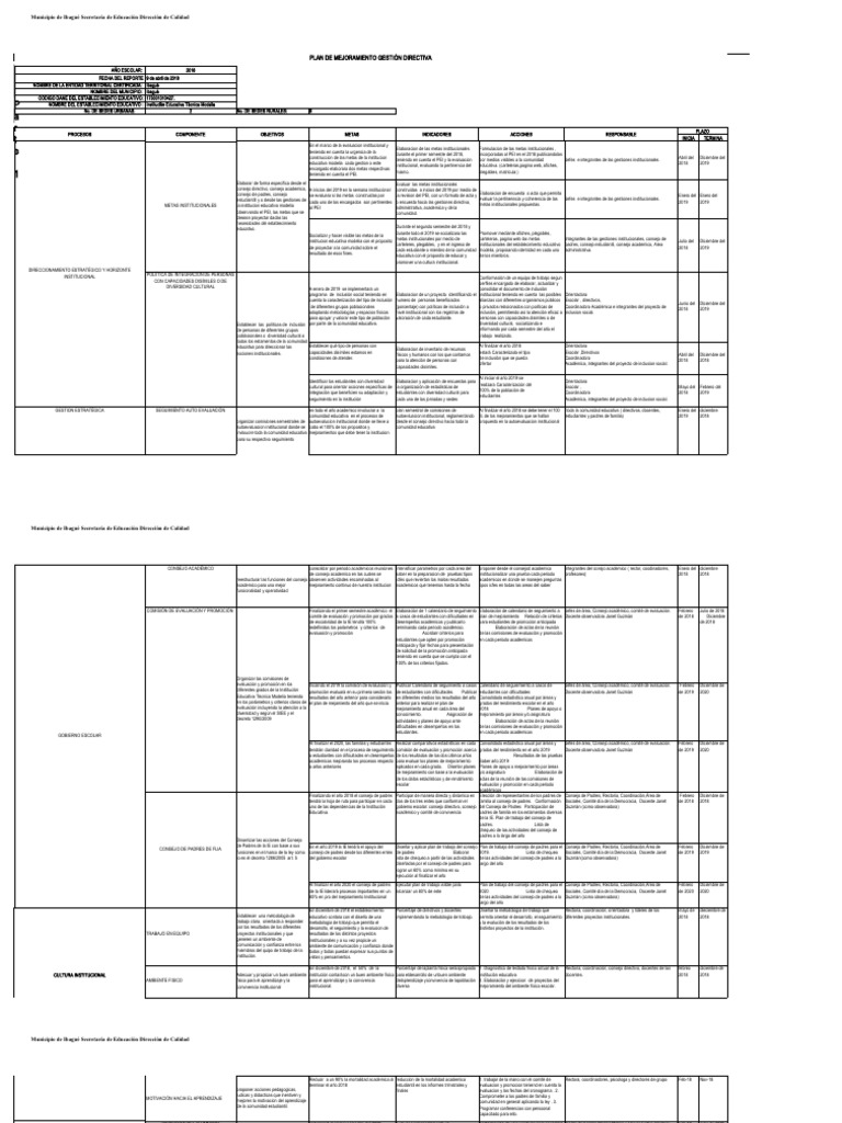 Formato Pmi - 2018 - 2020 | PDF | Inclusión (Educación) | Evaluación