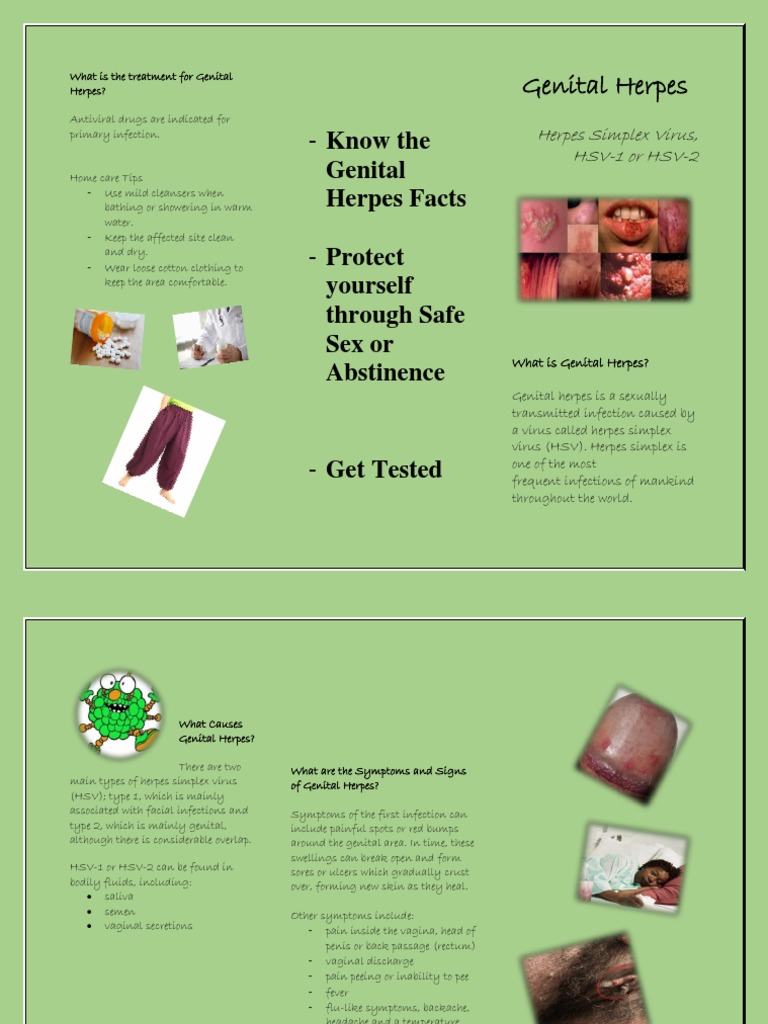 Herpes Brochure PDF | PDF | Herpes Simplex | Immunology