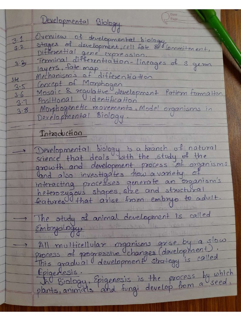Developmental Biology Notes | PDF