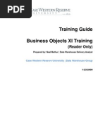 BOXI User Guide for Business Users | PDF