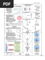 Cheat Sheet - Circular Motion | PDF | Theory Of Relativity | Motion ...