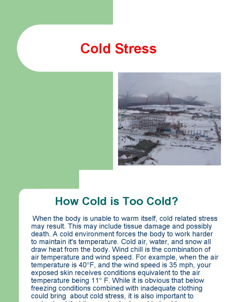 Cold Stress HSE Presentation HSE Formats | PDF | Hypothermia