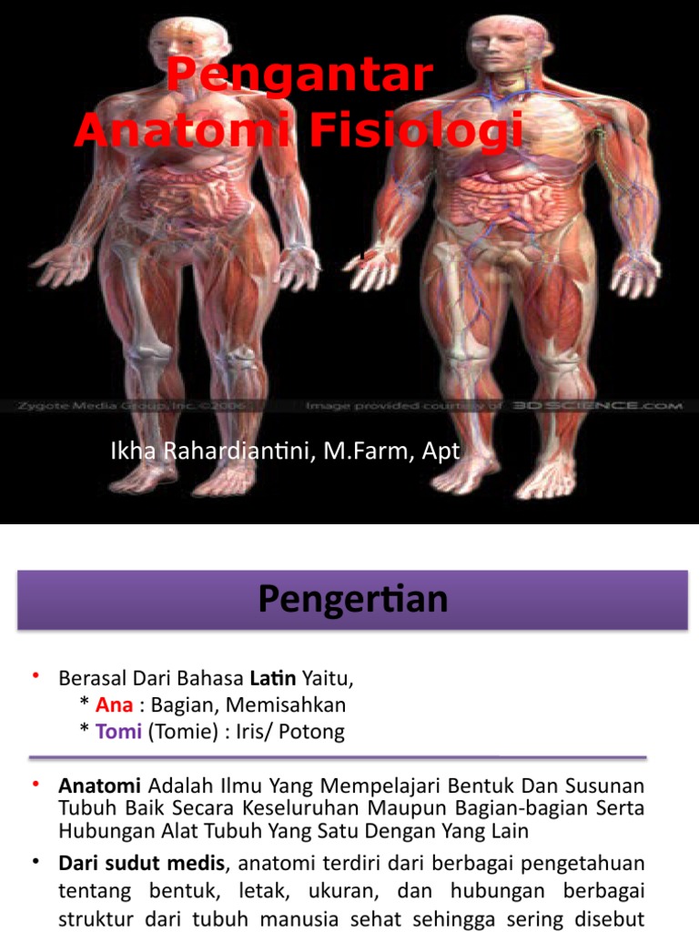 Pengantar Anatomi Fisiologi | PDF | Kesehatan Holistik
