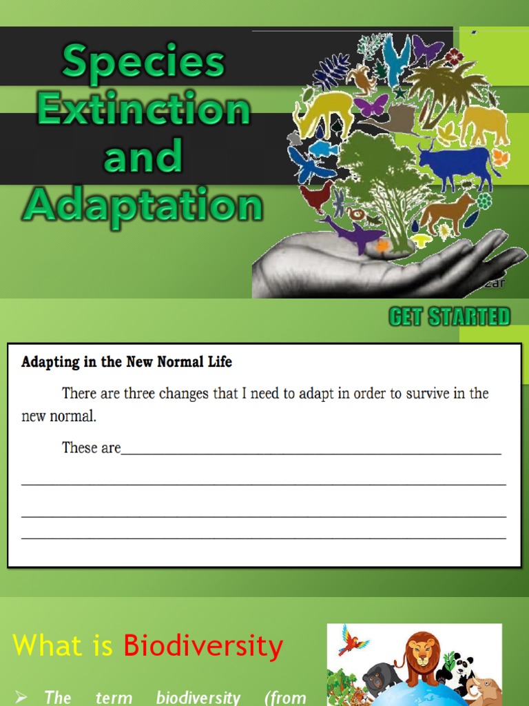 Understanding Biodiversity and Extinction | PDF | Extinction | Biodiversity