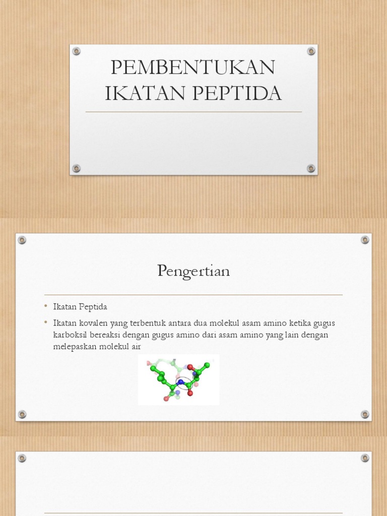 Pembentukan dan Pemutusan Ikatan Peptida | PDF