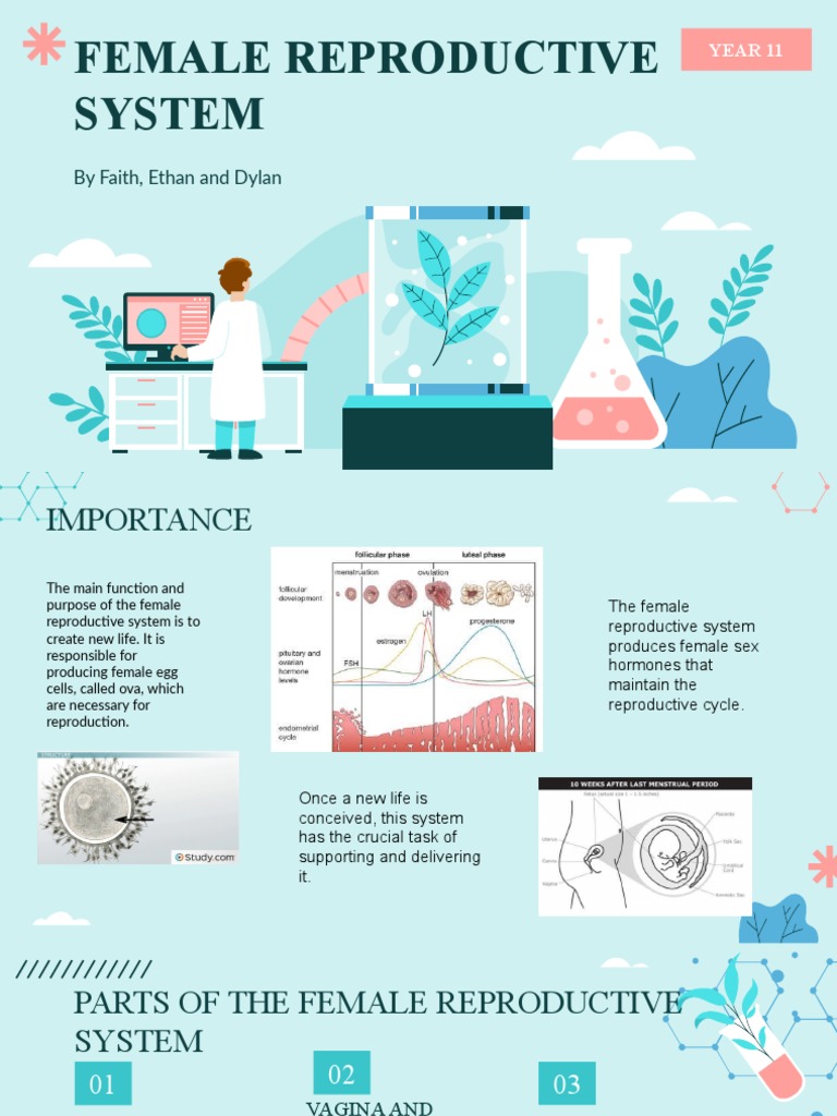 Bio Reproduction | PDF | Uterus | Reproductive System