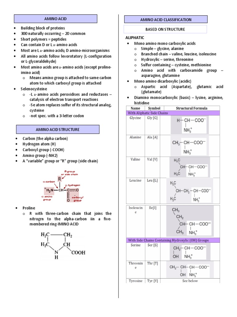 Amino Acids Peptides Protein Structures | Download Free PDF | Amino Acid | Protein Structure