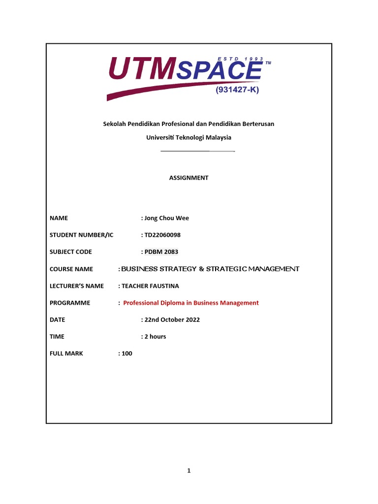 Business Strategy Assignment | PDF | Strategic Management | Entrepreneurship