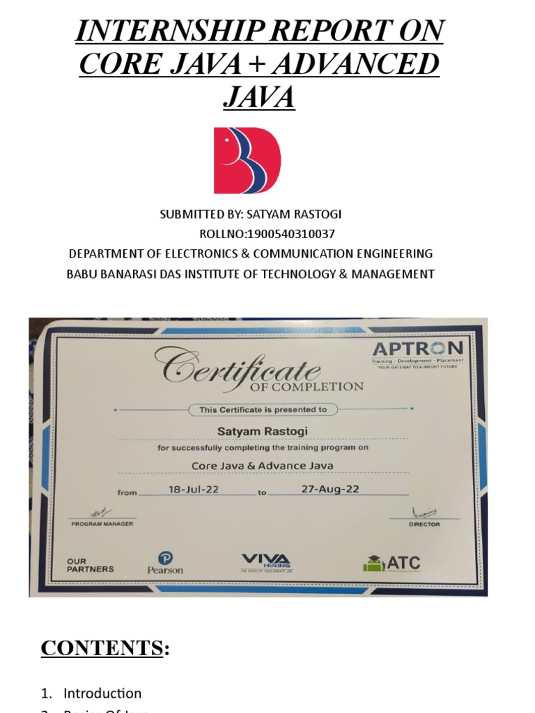 Satyam | PDF | Method (Computer Programming) | Java (Software Platform)