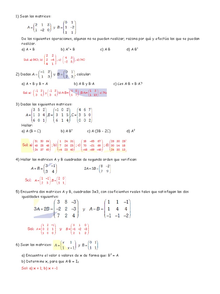 Ejercicios Matrices y Determinantes | PDF