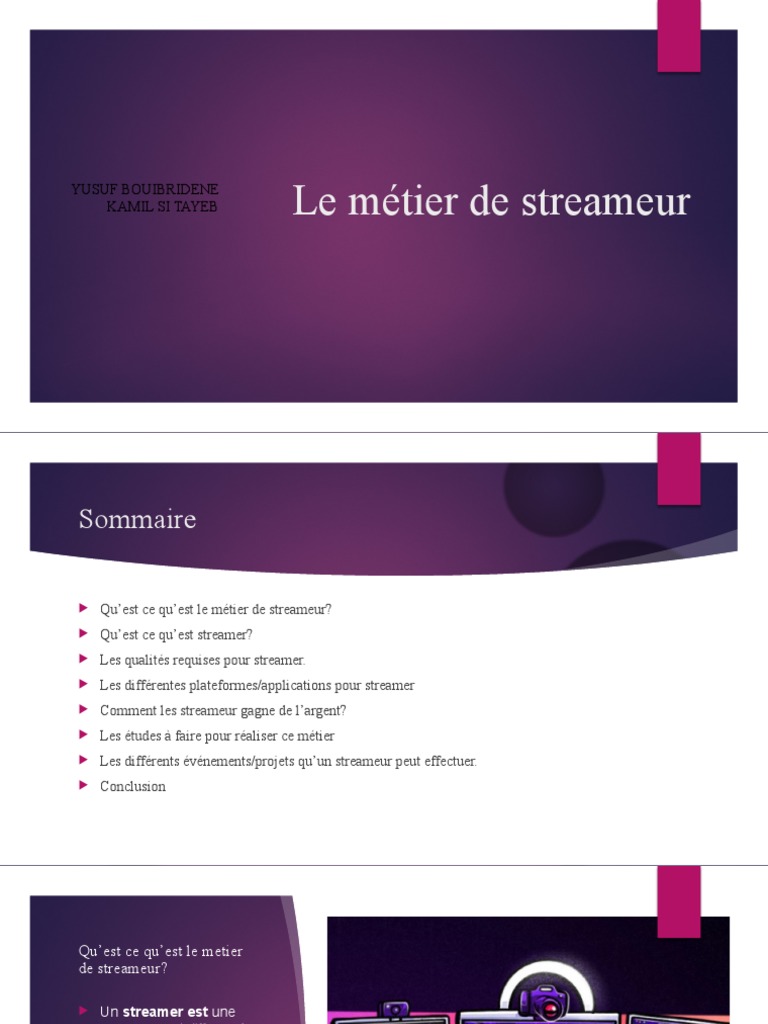 Le Metier de Streameur | PDF