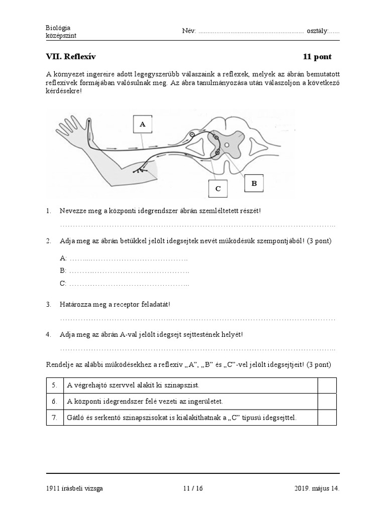 Reflex Feladat | PDF