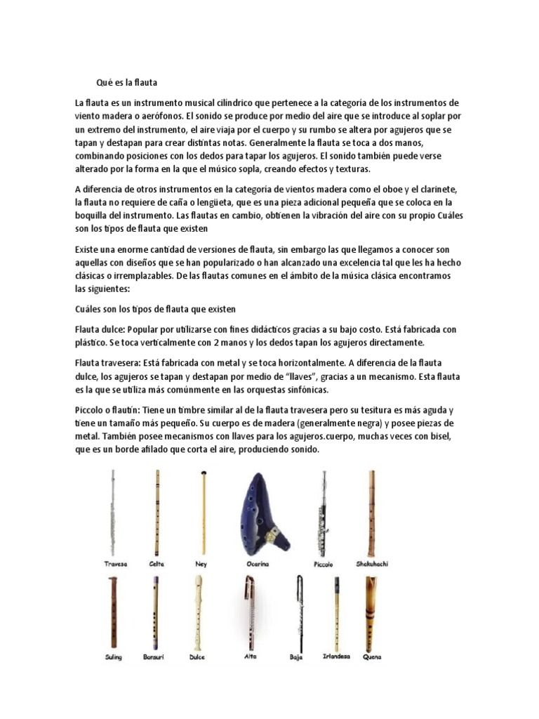 Qué Es La Flauta | PDF | Flauta | Instrumentos de viento de madera