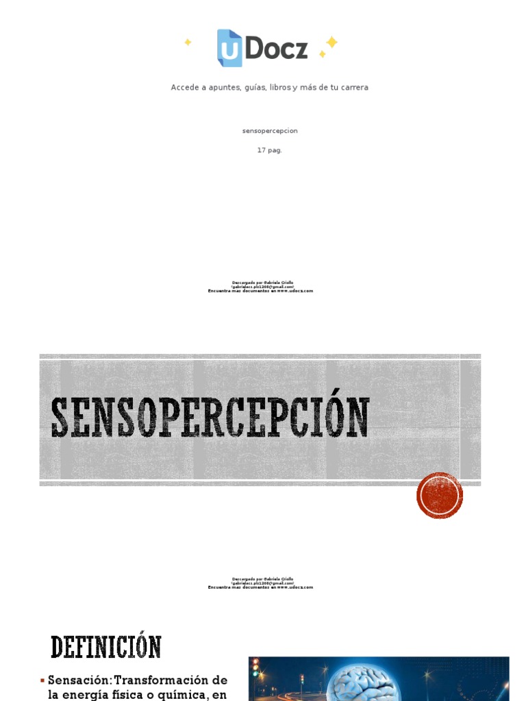 Sensopercepcion 81521 Downloable 1444640 | PDF | Percepción visual | Ciencia cognitiva