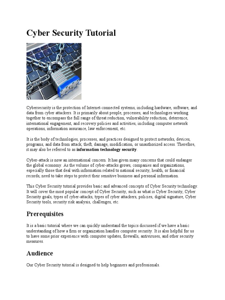 Cyber Security Basics and Threats | PDF | Computer Security | Security