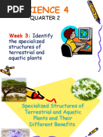 Science 4 Week 4 Quarter 2 | PDF | Plants | Soil