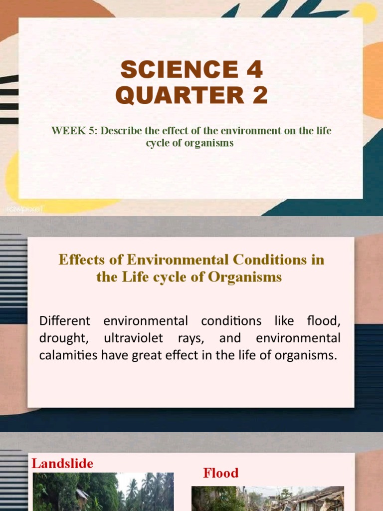 Q2 SCI W5 Effects of Environmental Conditions in The Life Cycle of ...