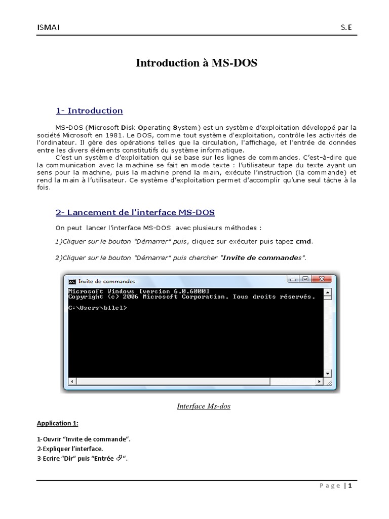 Travaux Pratiques D'initiation À L'informatique | PDF | Interface en ligne de commande | Système ...