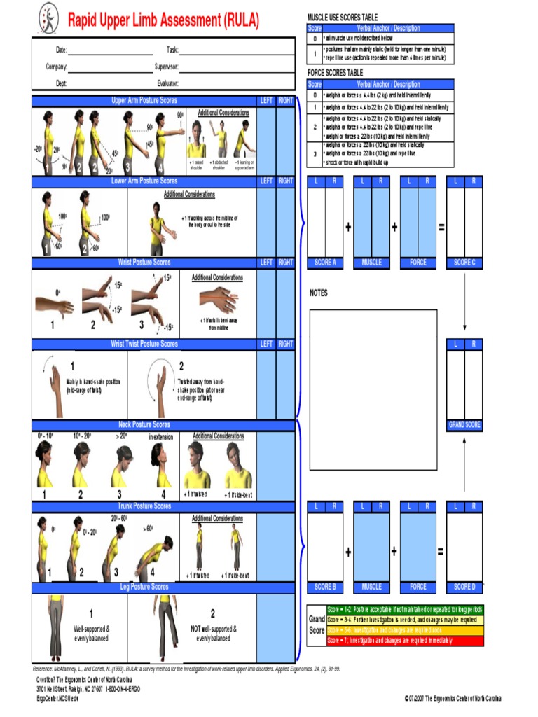 RULA Scoring Sheet | PDF | Arm | Anatomical Terms Of Motion