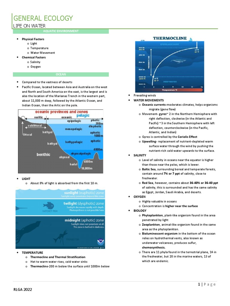 Understanding Marine Ecology: A Comprehensive Overview of Life in Ocean ...
