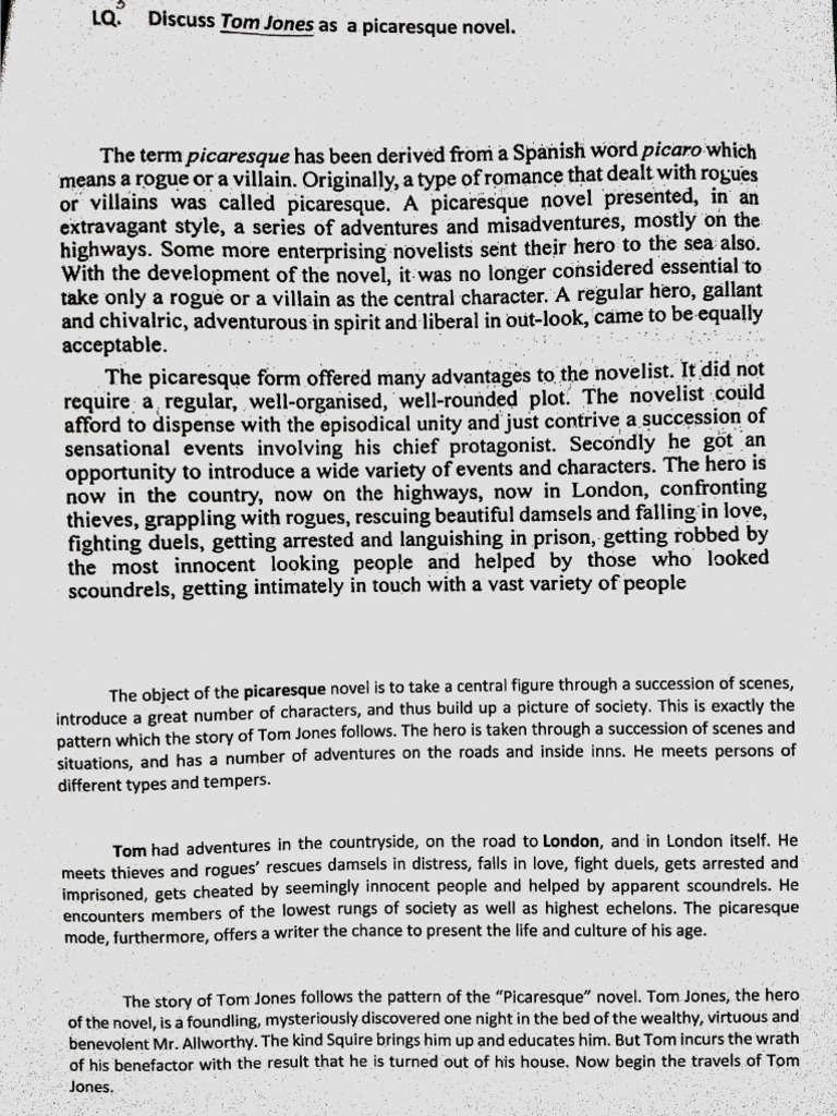 Tom Jones As A Picaresque Novel | PDF