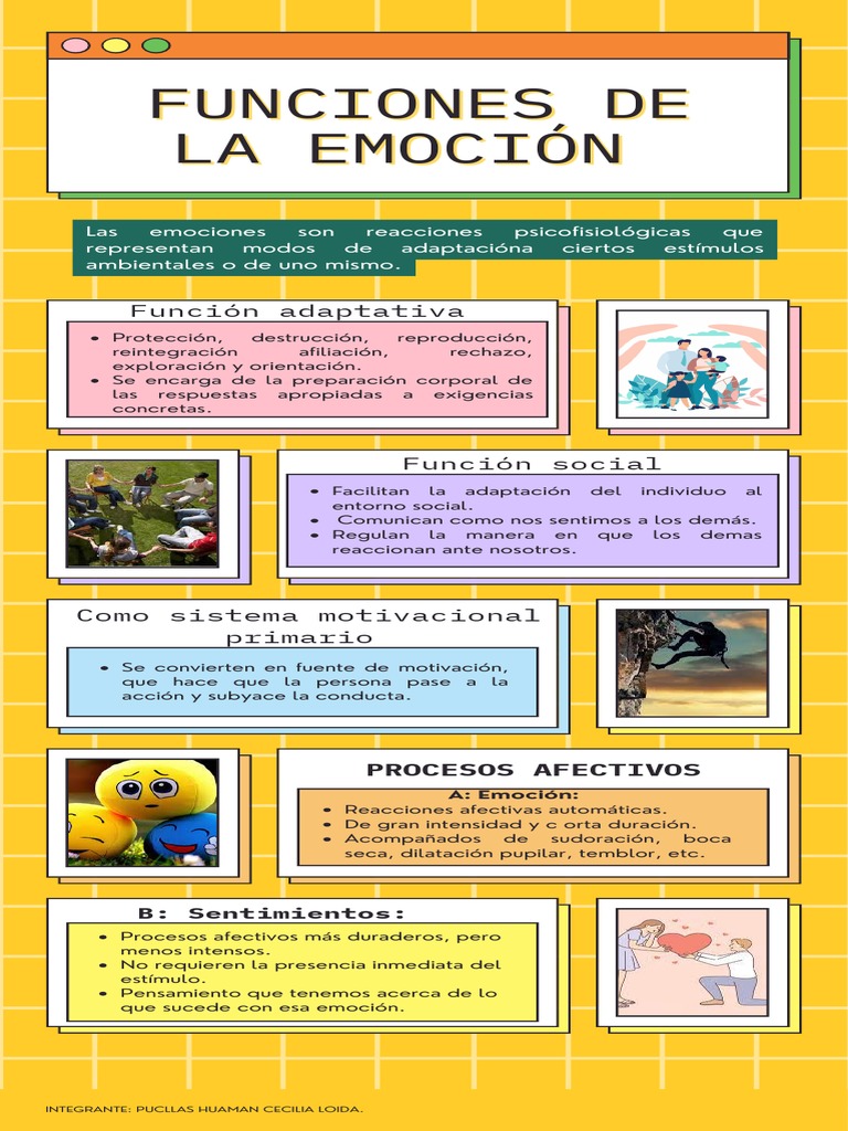 Funciones de La Emoción | PDF | Las emociones | Experiencia subjetiva