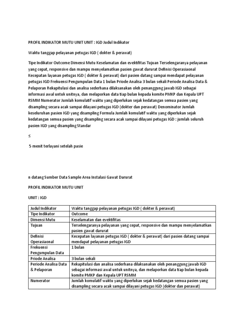Profil Indikator Mutu Unit Unit | PDF