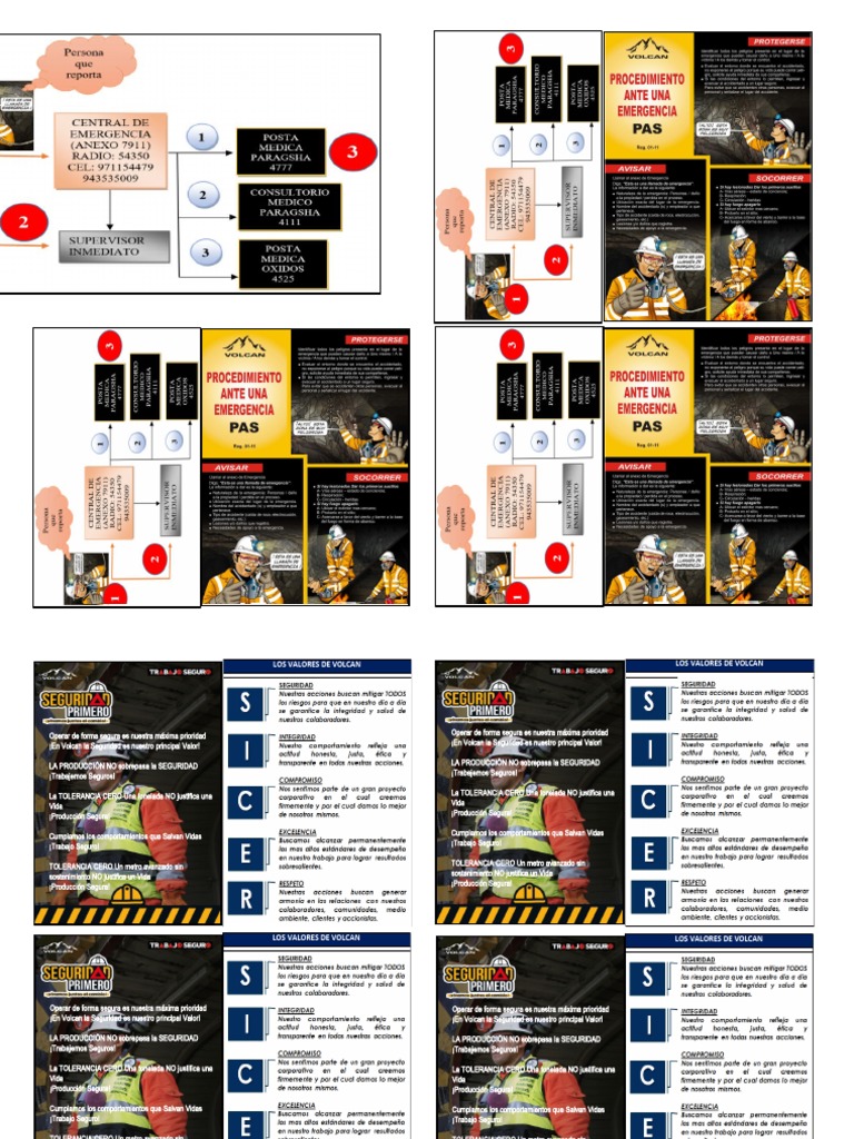 Cartilla Seguridad | PDF