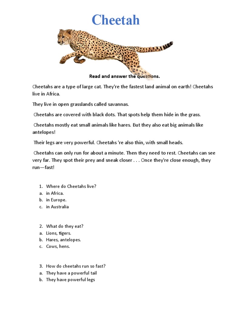 Cheetah Text For Reading Reading Comprehension Exercises 128492 | PDF ...