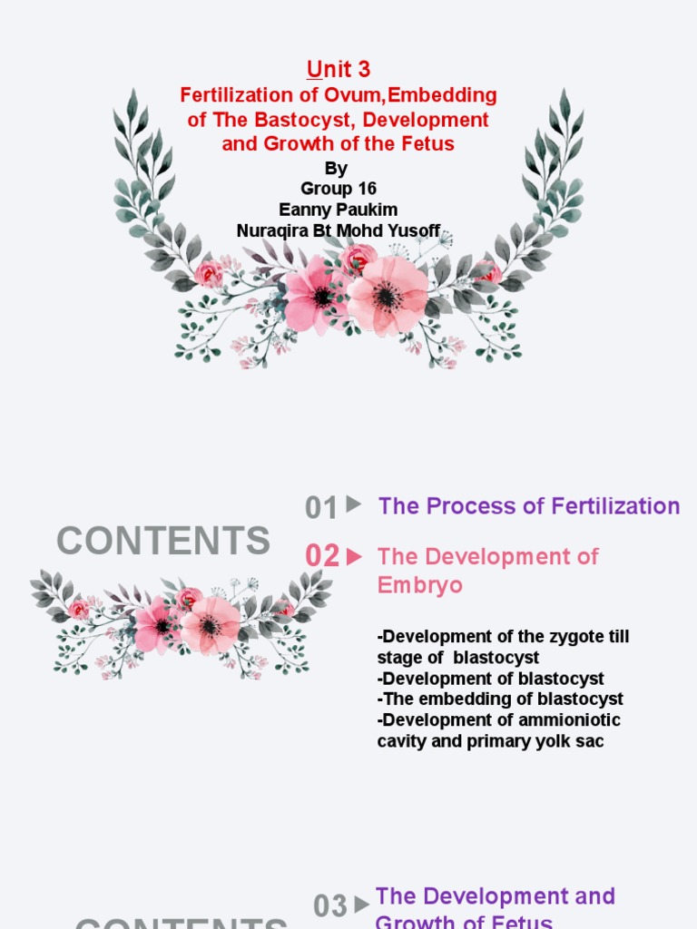 Unit 3. (Group 16) Fertilization of Ovum, Embedding of The Blastocyst ...