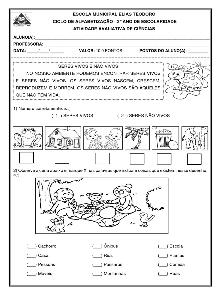 Atividade avaliativa sobre seres vivos e não vivos para alunos do 2o ano do ensino fundamental | PDF