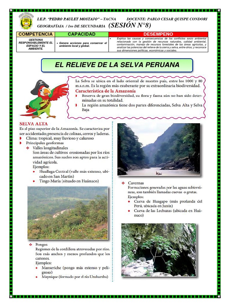 1ro El Relieve de La Selva Peruana | PDF