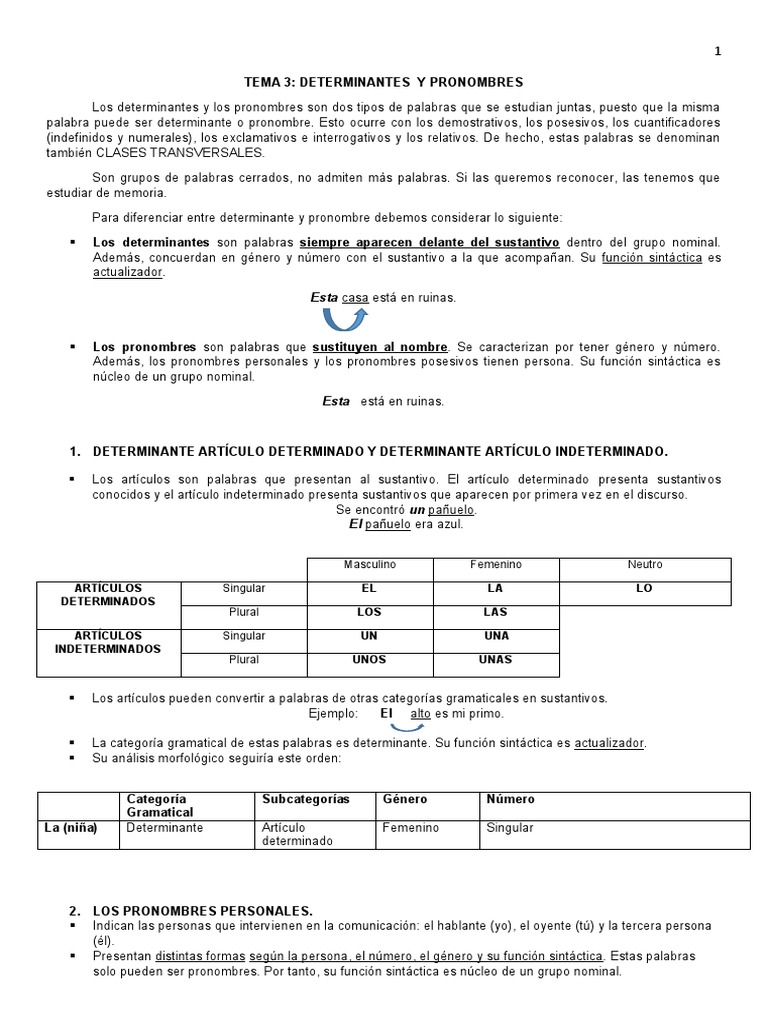 Determinantes y Pronombres | PDF | Sustantivo | Género gramatical